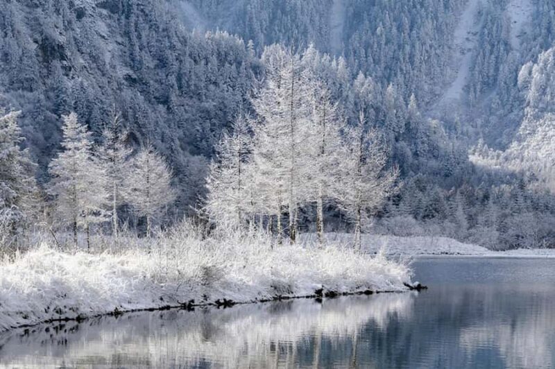 Chengdu: Bipenggou Scenic Area Day Trip with Guide - Final Thoughts: Who Is This Tour For?