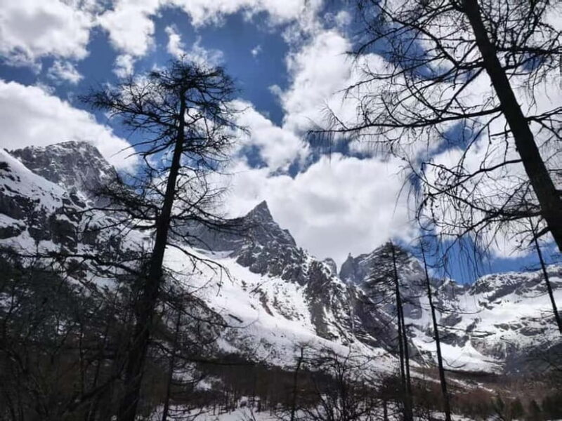 Chengdu: Bipenggou Scenic Area Private Tour - Who should consider this tour?