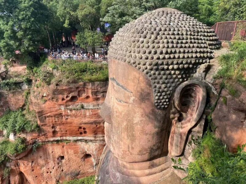 Chengdu: Chengdu Day Trip with Giant Panda and Leshan Buddha - A Complete Look at This Chengdu Day Trip