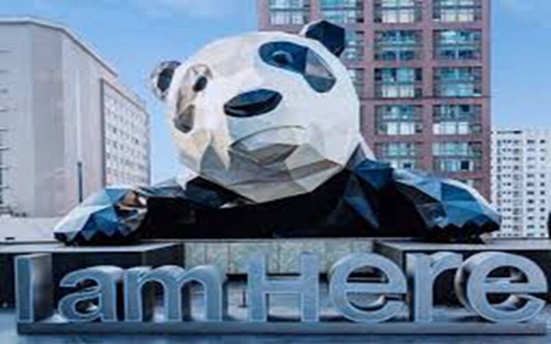 Chengdu downtown essences private day tour - Authentic Encounters and Customer Voices