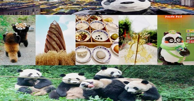 Chengdu downtown essences private day tour - The Sum Up: Is This Tour Right for You?