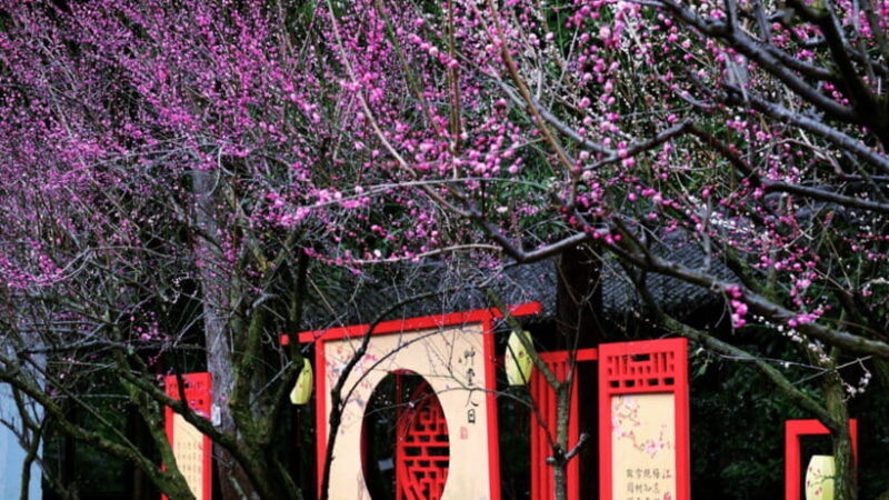 Chengdu: Du Fu Thatched Cottage Poetry Museum - A Balanced Look at the Experience