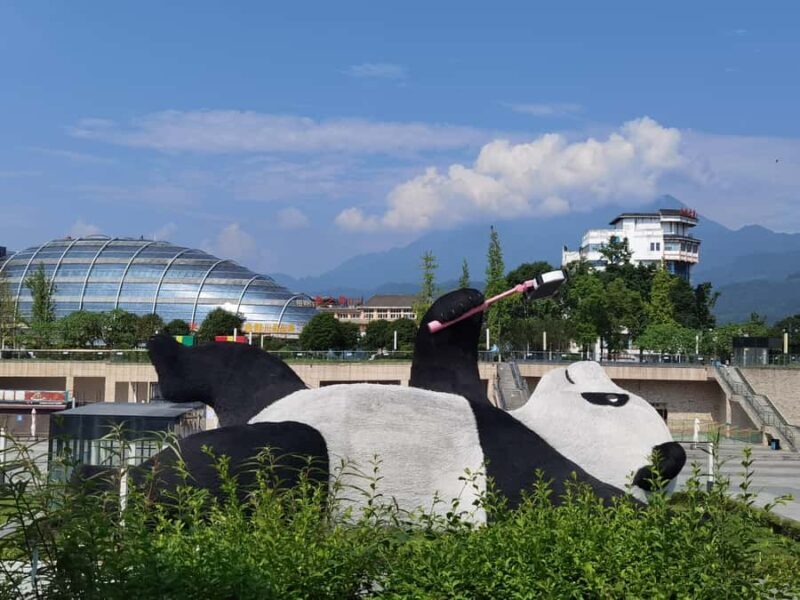 Chengdu: Dujiangyan Panda Base & Irrigation System Day Tour - Who Would Love This Tour?