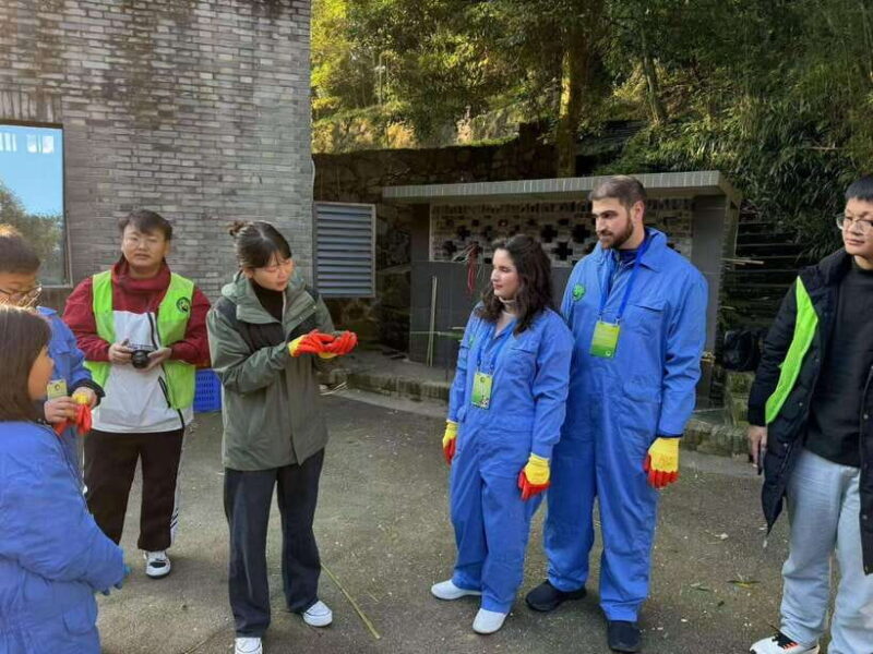 Chengdu: Dujiangyan Panda Base Volunteering Day Trip - Key Points