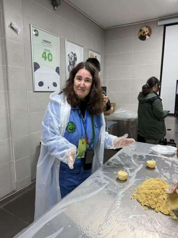 Chengdu: Dujiangyan Panda Base Volunteering Day Trip - Setting the Scene: What to Expect from the Experience