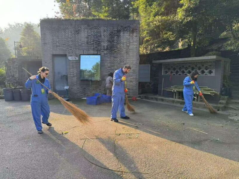 Chengdu: Dujiangyan Panda Base Volunteering Day Trip - What the Reviews Tell Us