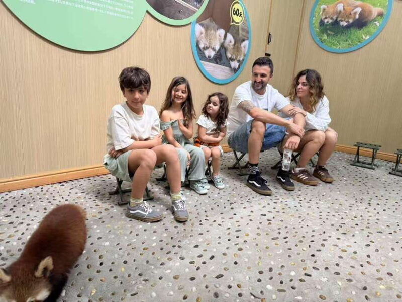 Chengdu: Dujiangyan Panda Base Volunteering Day Trip - The Sum Up