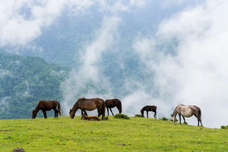 Chengdu: Ganhaizi Hidden Paradise Day Trip with Hike - Exploring the Ganhaizi Day Trip: What to Expect