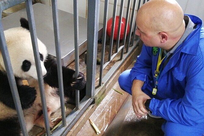 Chengdu Getaway: Private 2-Day Tour from Beijing - Exploring the Highlights of the Tour