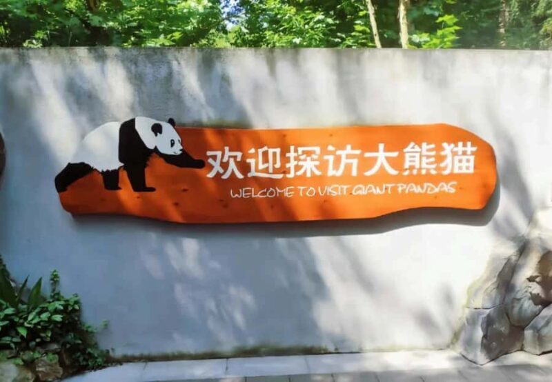 Chengdu: Giant Panda Base Tour with Panda Nutrition Class - Key Points