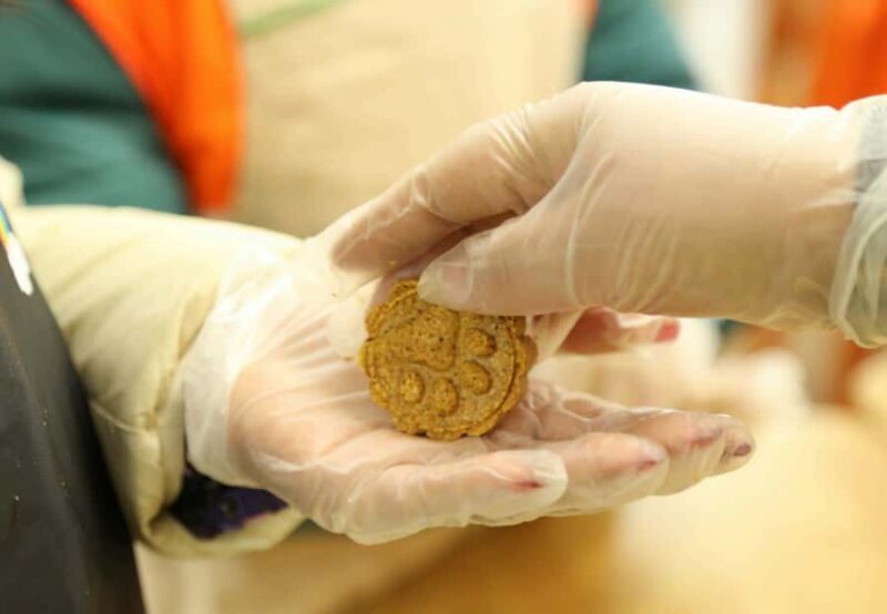 Chengdu: Giant Panda Base Tour with Panda Nutrition Class - Who Will Love This Experience?