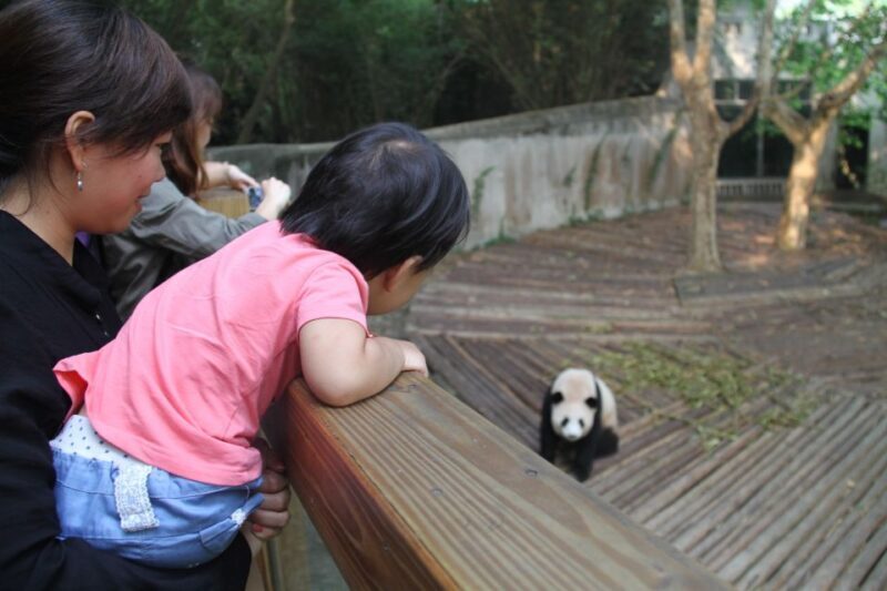 Chengdu: Giant Panda Breeding Research Base Ticket - Practical Tips for Visiting