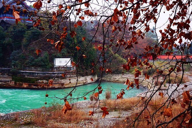 Chengdu Guided Tour of Qingcheng Mountain and Dujiangyan Irrigation - What to Expect from the Qingcheng Mountain and Dujiangyan Tour