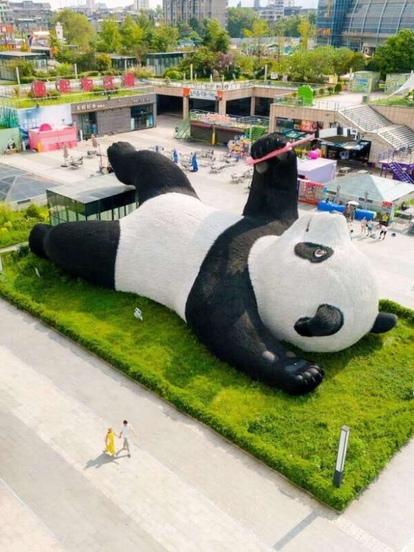 Chengdu: Hidden Wonders Day Tour with Wolong Panda Base - Authentic Perspectives from Past Participants