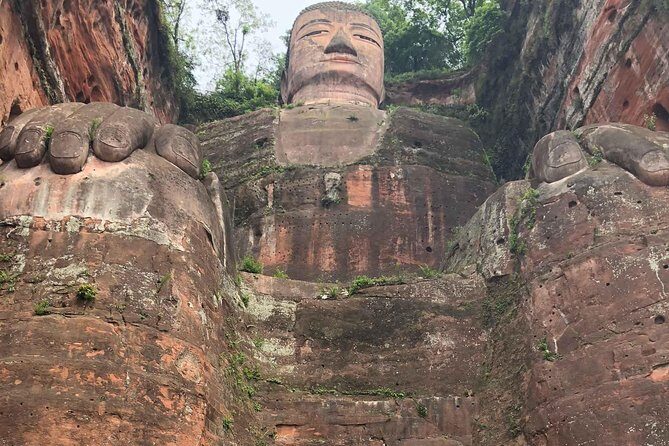 Chengdu Impression of Lovely Pandas and Giant Buddha - Who Should Consider This Tour?