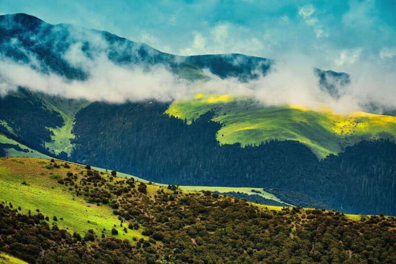 Chengdu & Jiuzhaigou Enchanted Landscapes Tour - Discovering Chengdu and its Vibrant Charm