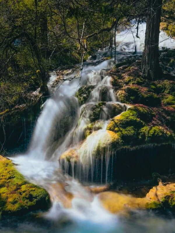 Chengdu & Jiuzhaigou Enchanted Landscapes Tour - The Experience Provider: Into Explore