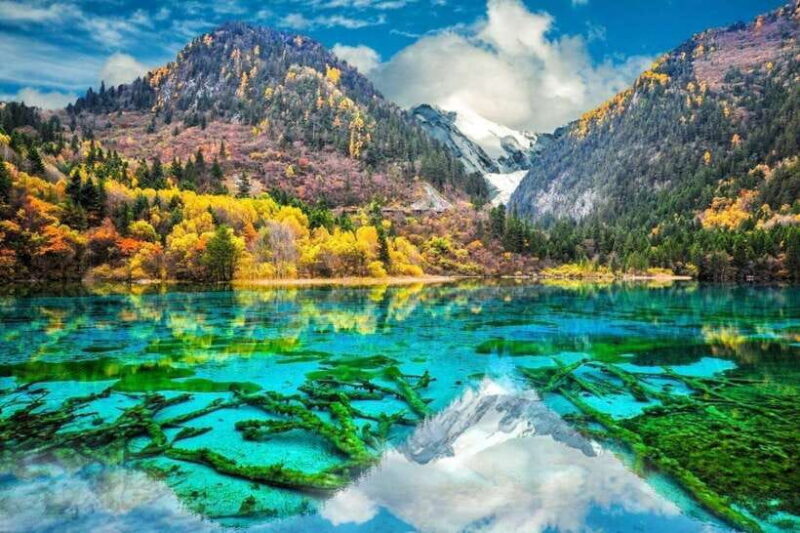 Chengdu: Jiuzhaigou&Huanglong 3-Day Tour by Bullet Train - Practical Details: Transport, Timing, and Value