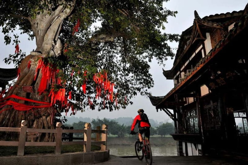Chengdu: Leshan Giant Buddha & Huanglongxi Ancient Town Tour - Key Points