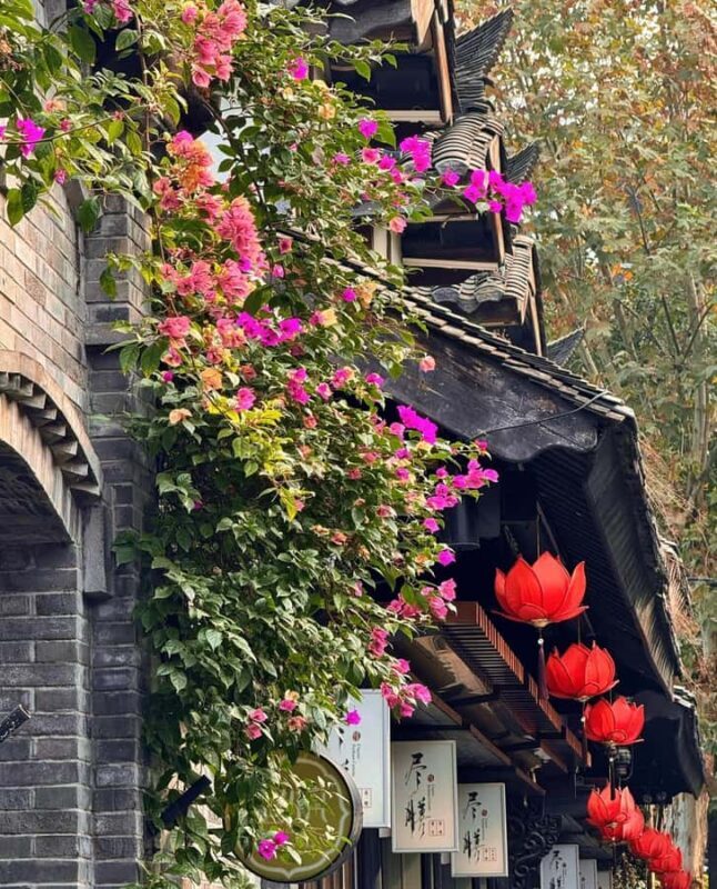 Chengdu: Local Alley, Museum, Handcraft & Night Market Tour - Who Should Take This Tour?