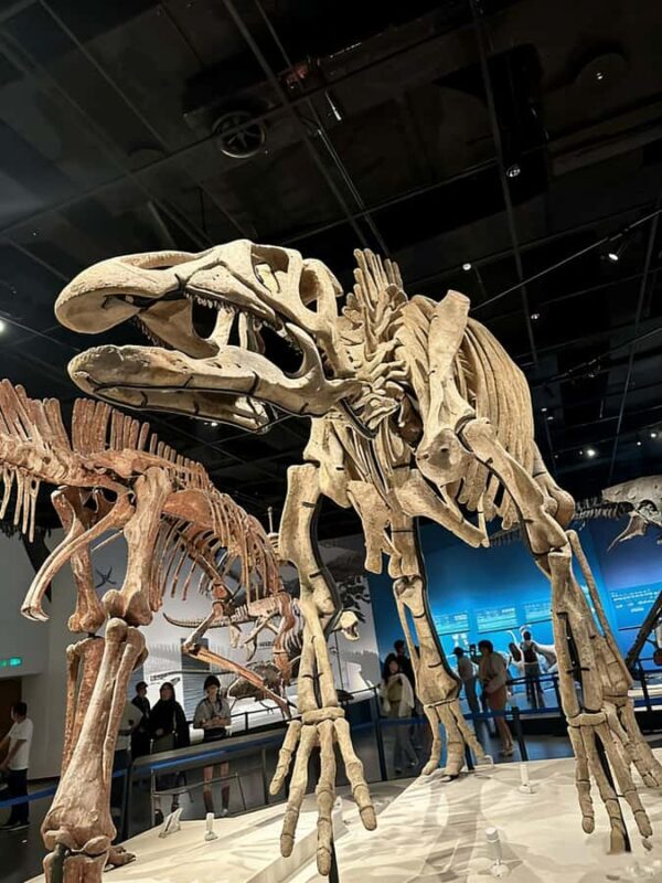 Chengdu: Natural History Museum Guided Tour - Key Points