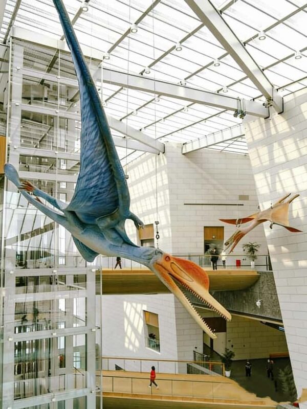 Chengdu: Natural History Museum Guided Tour - An In-Depth Look at the Chengdu Natural History Museum Guided Tour