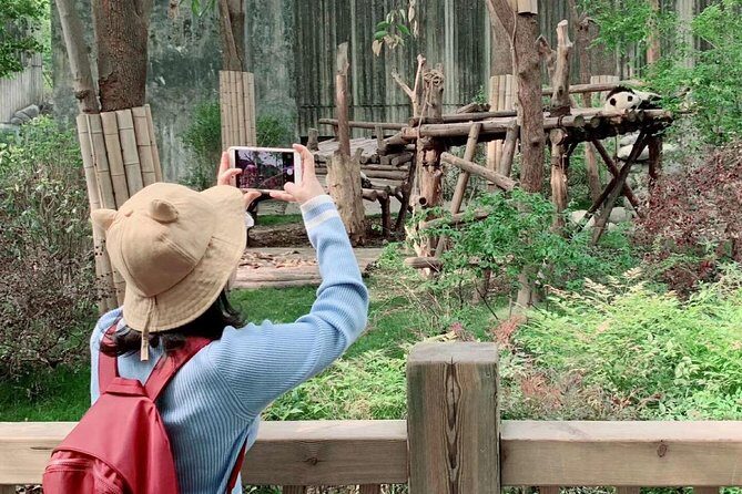 Chengdu Panda Base and Drop off Chengdu Railway Station Day Tour - Is This Tour Worth the Price?