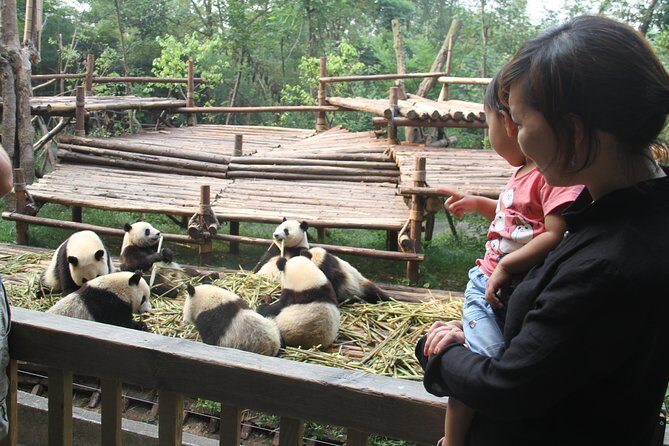 Chengdu Panda Base and Drop off Chengdu Railway Station Day Tour - FAQ