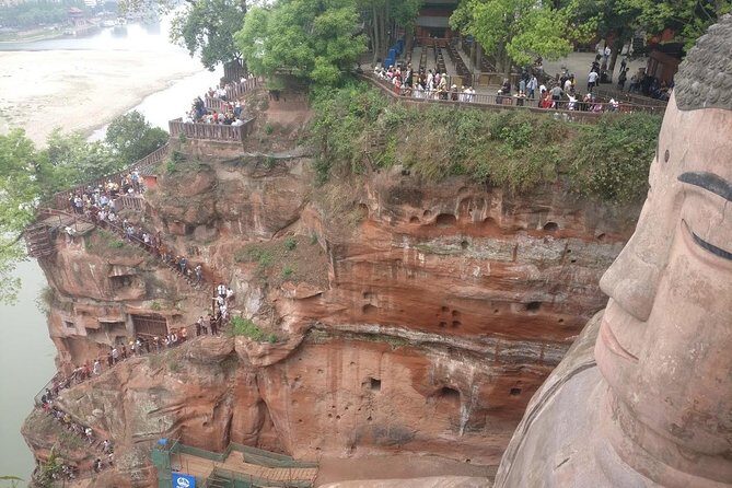 Chengdu panda base and Leshan Giant Buddha one day tour - A Deeper Look at the Tour: What You Can Expect