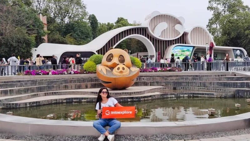 Chengdu Panda Base and Luodai Ancient Town One-Day Tour - Key Points