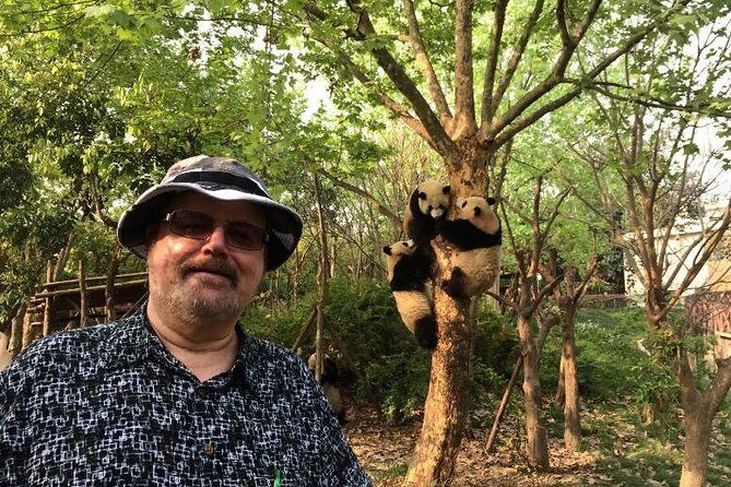 Chengdu Panda Base Half Day Tour - Exploring the Chengdu Panda Research and Breeding Center