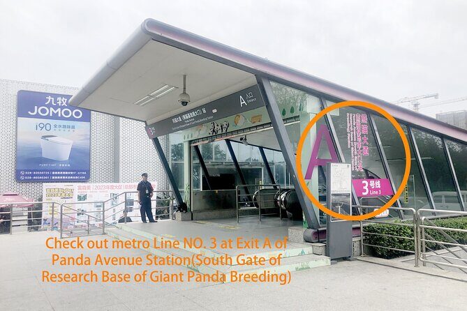 Chengdu Panda Base Half Day Tour - What to Expect from the Chengdu Panda Base Half Day Tour