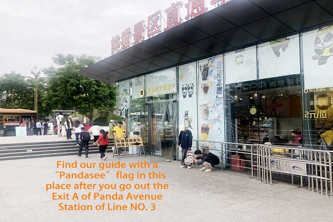 Chengdu Panda Base Half Day Tour - Why Choose This Tour? The Practical Perspective