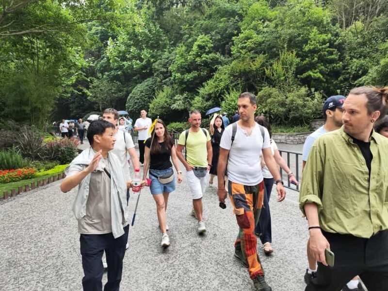 Chengdu: Panda Base Half-day Tour or Panda & Buddha Day Tour - FAQs