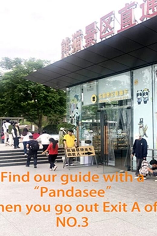 Chengdu panda base half day tour - Why This Tour Stands Out