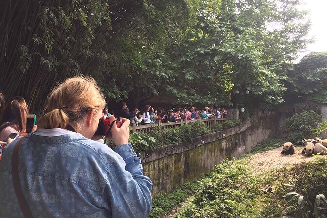 Chengdu Panda Base, Panda Post, Panda Sculpture - Final Thoughts