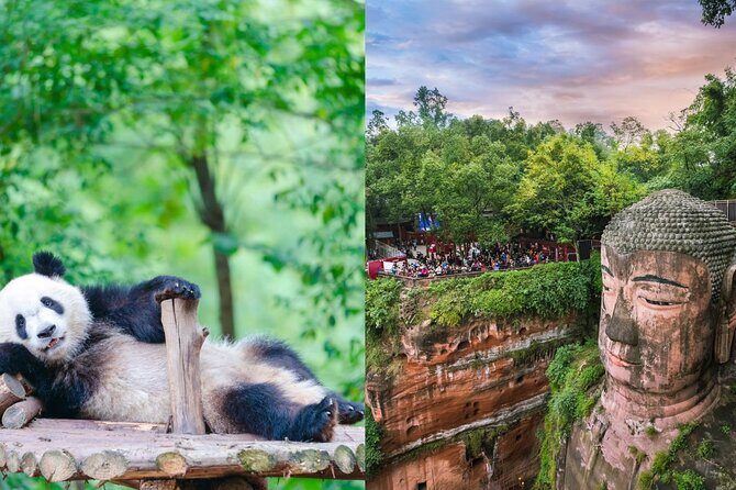 Chengdu Panda Base Ticket/Experiences from Chunxi Road - Discovering Chengdu’s Pandas: What’s Included and How It Works