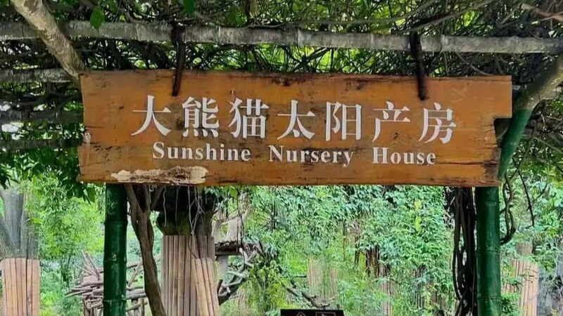 Chengdu: Panda Breeding Base Private Guided Tour - Summing Up: Who Will Benefit Most?