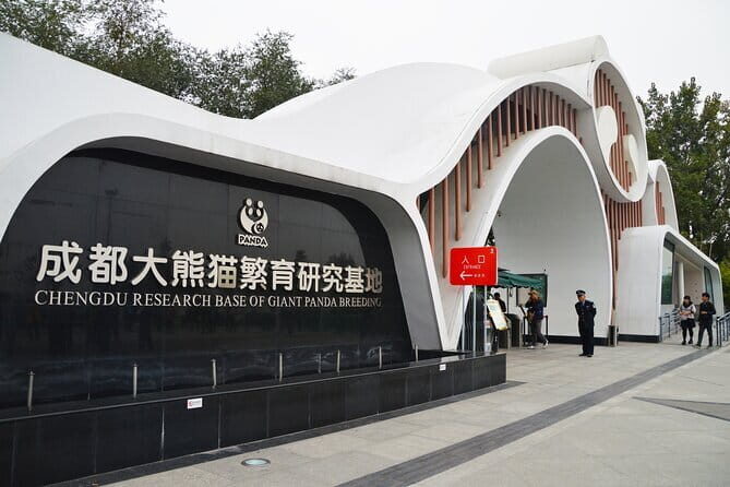 Chengdu Panda Breeding Base Ticket w/ Optional Transfer or Guide - An In-Depth Look at the Chengdu Panda Breeding Base Tour