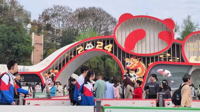 Chengdu: Panda Breeding Base Tickets Booking - Final Thoughts: Is This Experience Right for You?