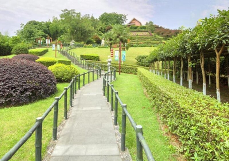 Chengdu panda & Leshan Buddha One Day Private Tour - Exploring the Itinerary: What to Expect