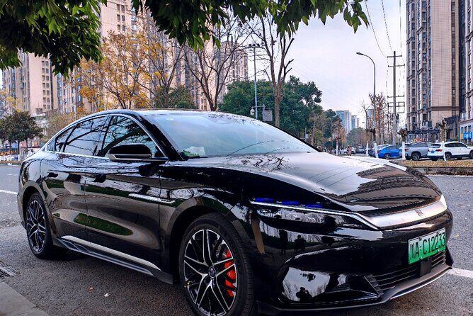 Chengdu Panda & Leshan Giant Buddha Premium Private Day Tour - Key Points