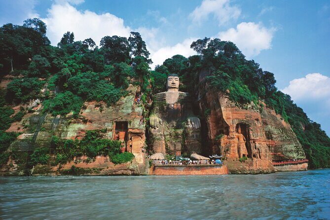 Chengdu Panda Park Bus Tour with Option Leshan Giant Buddha - An In-Depth Look at the Tour