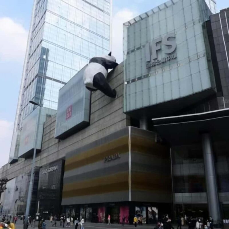 Chengdu: Panda Park & Optional Leshan Giant Buddha Tour - Final Thoughts