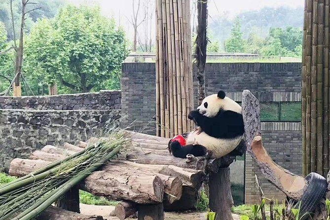 Chengdu Panda Tour and Shu Culture Discovery - What Makes This Tour Stand Out?