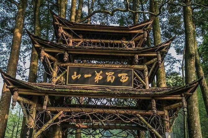 Chengdu Private Day Tour: Du jiang yan Panda Base and Qingcheng Mountain - Why This Tour Is Worth Considering