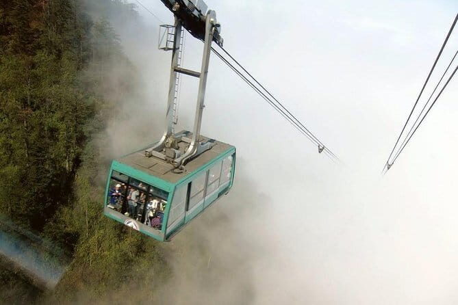 Chengdu Private Day Tour to Emei Mountain with Lunch and Cable Car Ride - What Travelers Say About This Tour