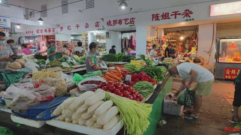 Chengdu: Private Panda Base and Sichuan Cuisine Tour - Key Points