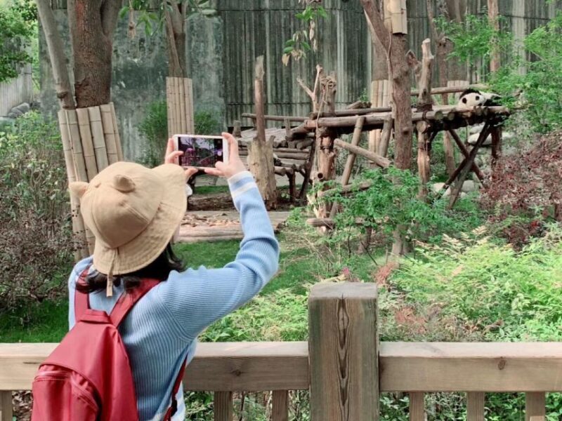 Chengdu: Private Panda Base Tour with 80 Pandas - Who Will Love This Tour?
