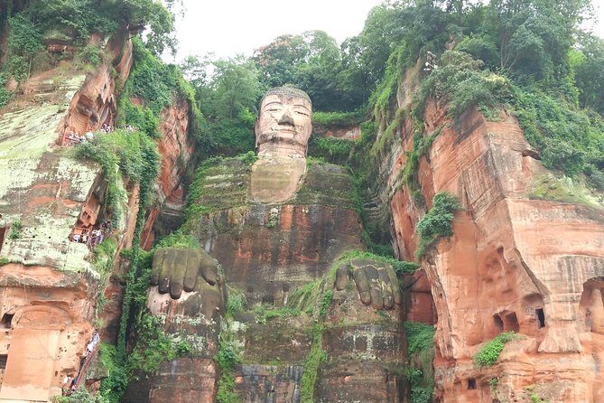 Chengdu Private Panda Trip with Afternoon Private Custom Tour - Who Will Benefit Most?